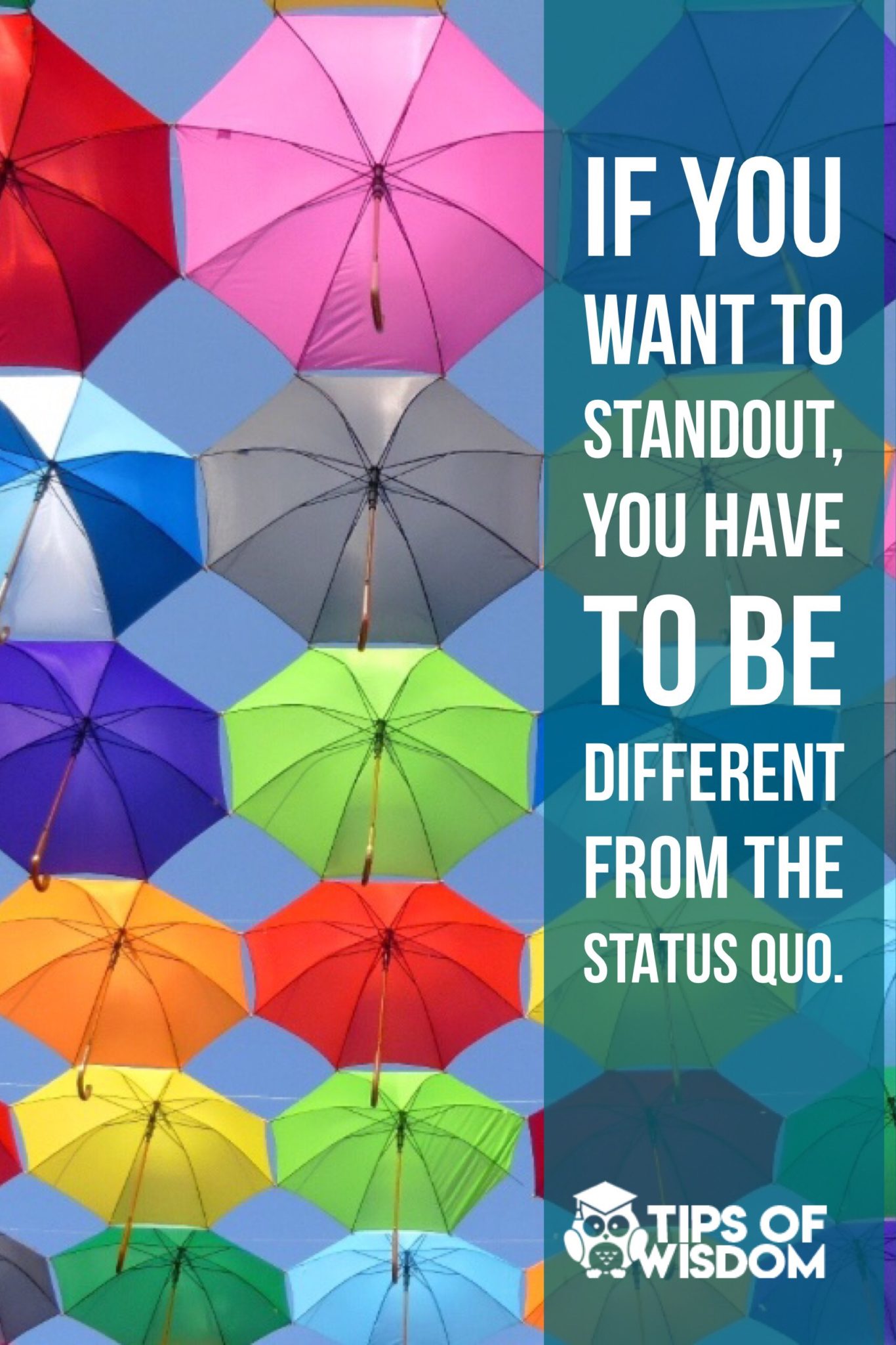 Standout Quotes