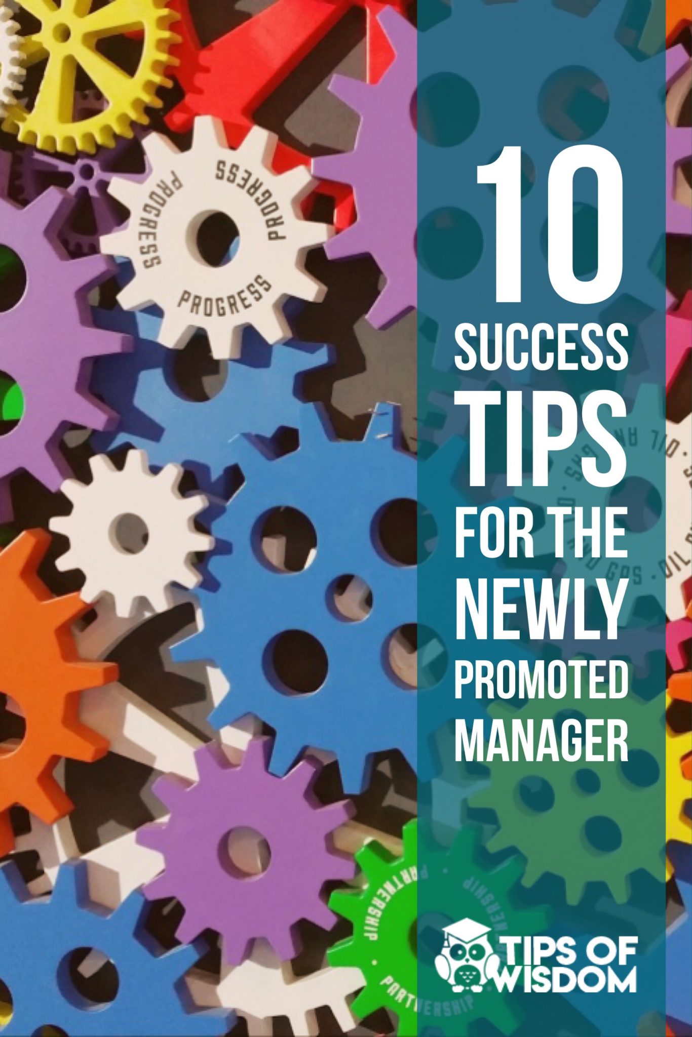 10 Success Tips for the Newly Promoted Manager - Tips of Wisdom