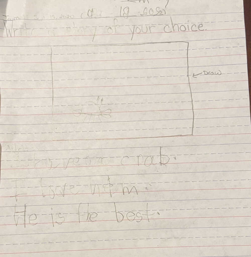 First Grade Writing Expectations & Samples - Tips of Wisdom