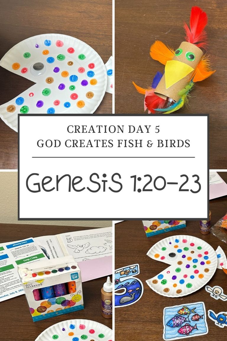 Genesis 1:20-23 | (Day 5) God Creates Fish and Birds - Tips of Wisdom