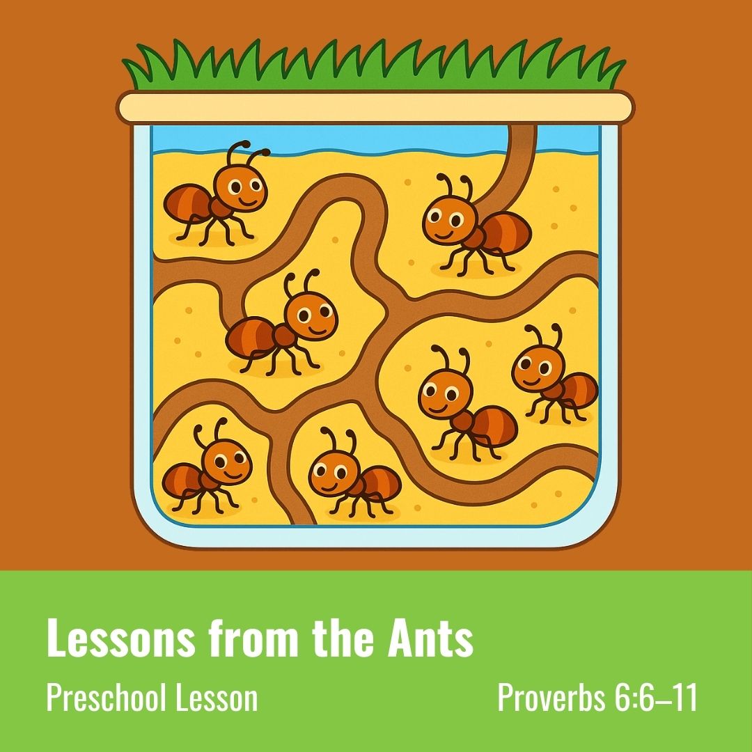 Lessons from the Ants | Proverbs 6:6–11 - Tips of Wisdom
